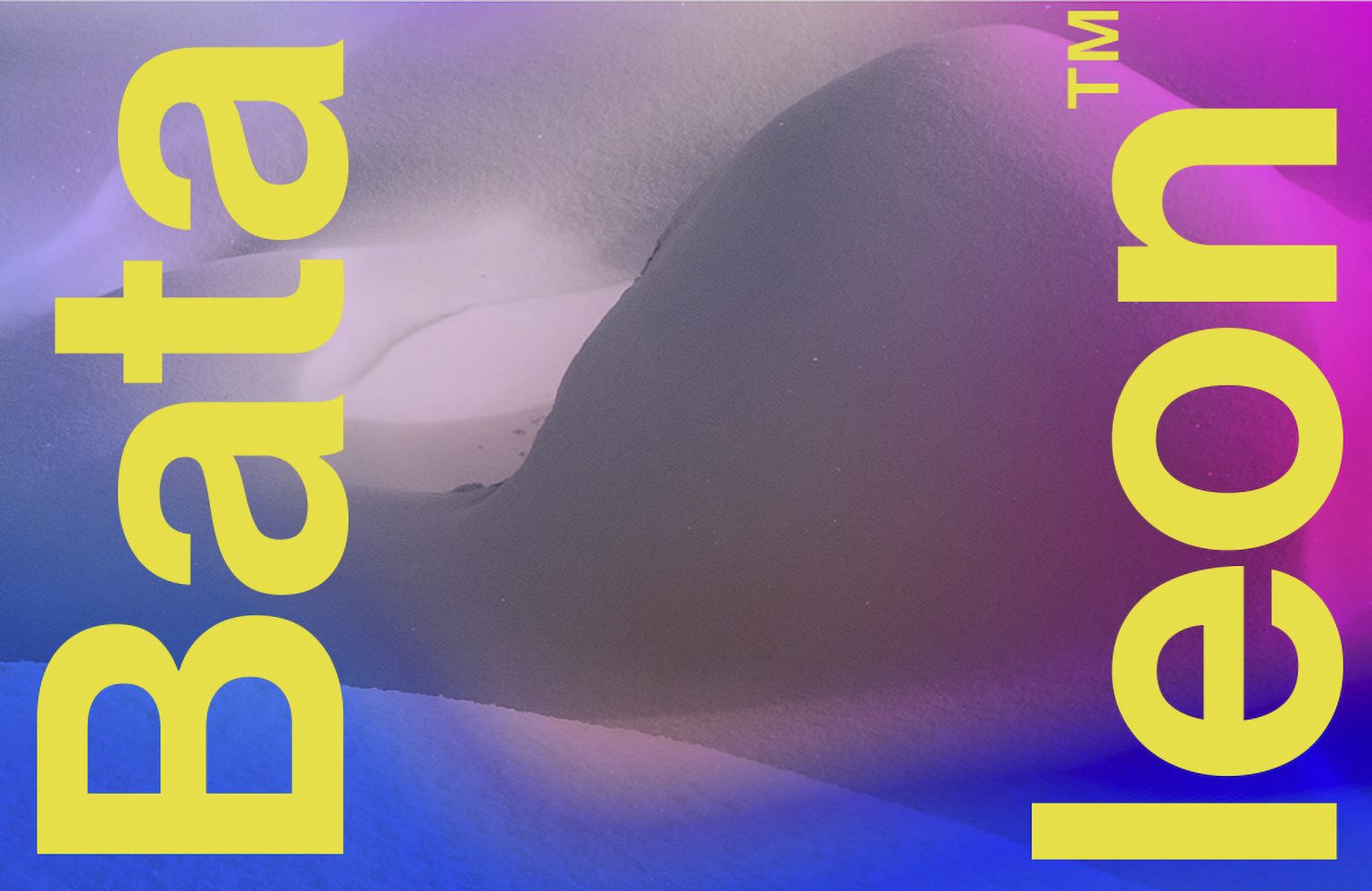 BATALEON（バタレオン） | スノーボーディング WEBメディア SBN FREERUN JAPAN